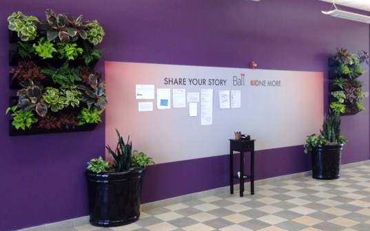 The latest and greatest in Green Walls! | Phillip's Interior Plants ...