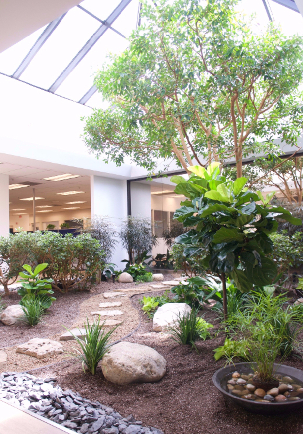 Golds for Greens! | Phillip's Interior Plants & Displays