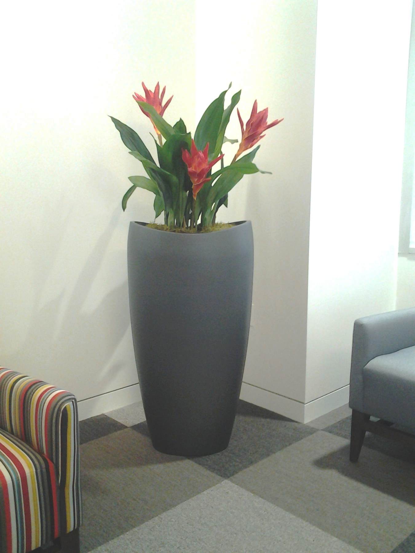 Silk Office Plants and Silk Flowers for Businesses | Chicago & Suburbs