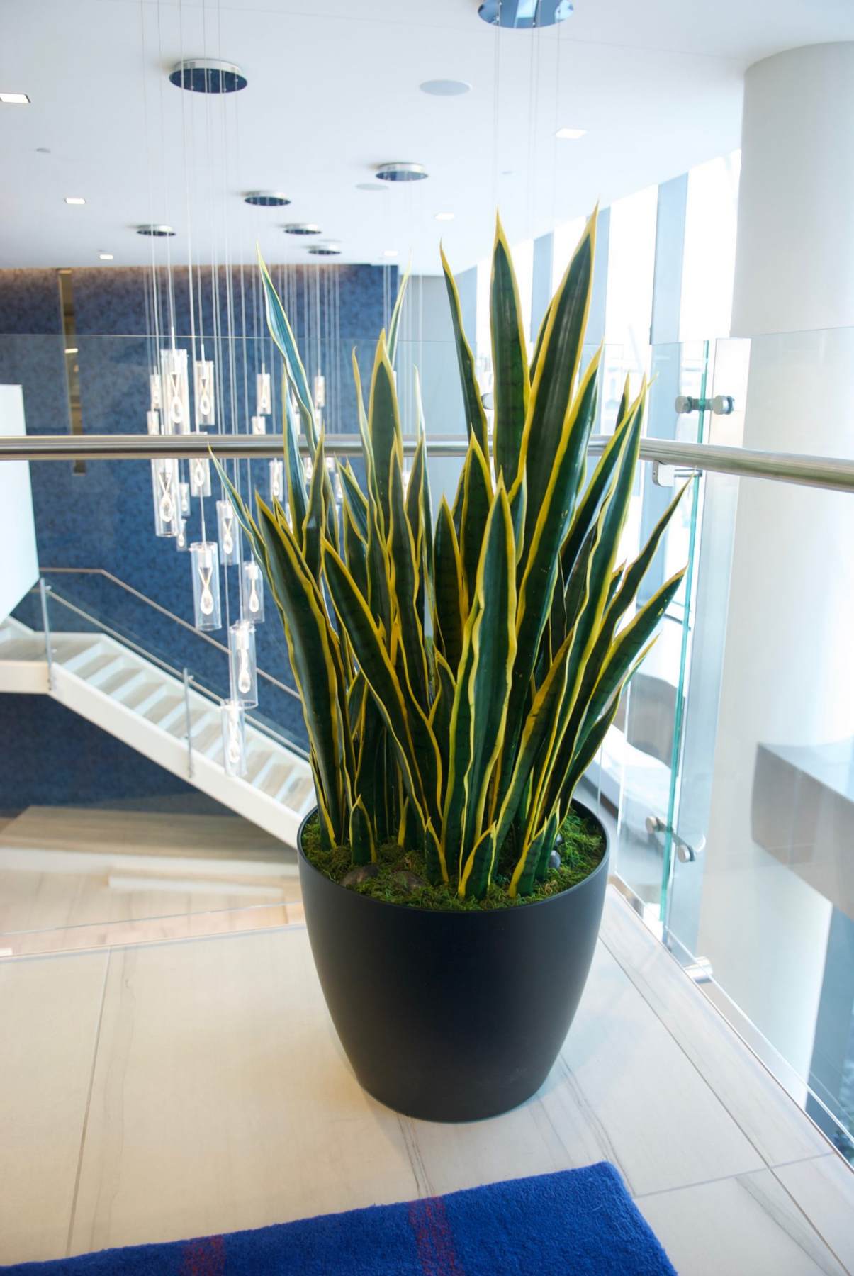 Silk Office Plants and Silk Flowers for Businesses | Chicago & Suburbs