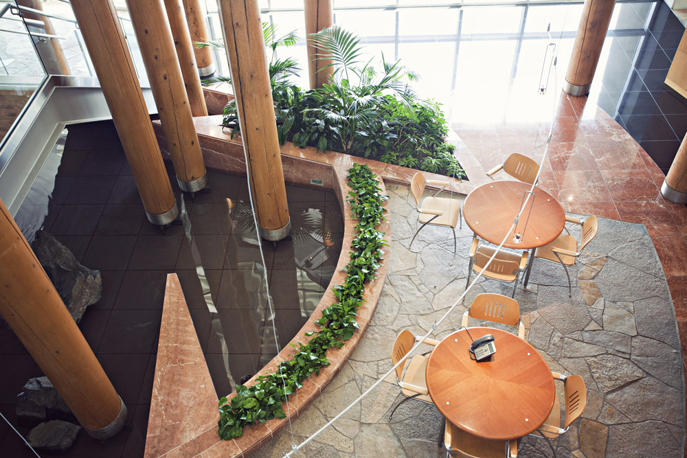Interior Plant Services | Phillip's Interior Plants & Displays ...