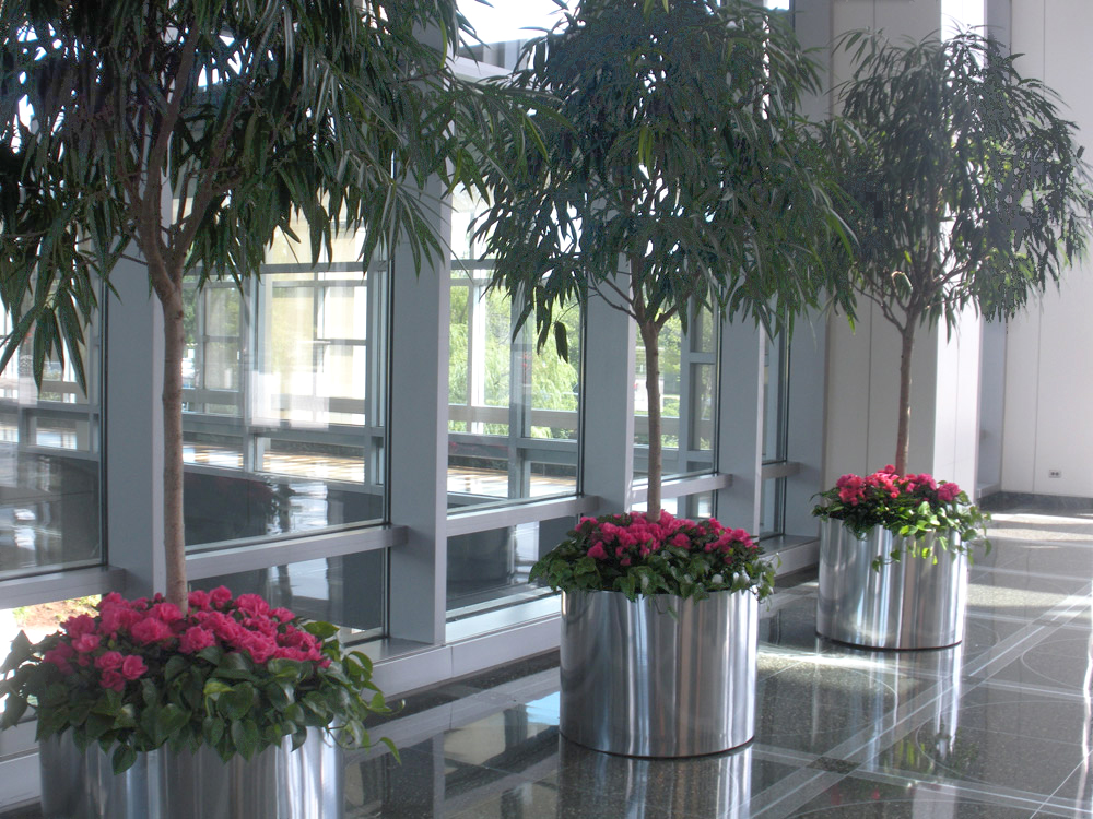 Interior Blooming Plants & Floral Designs for Chicago Area Businesses
