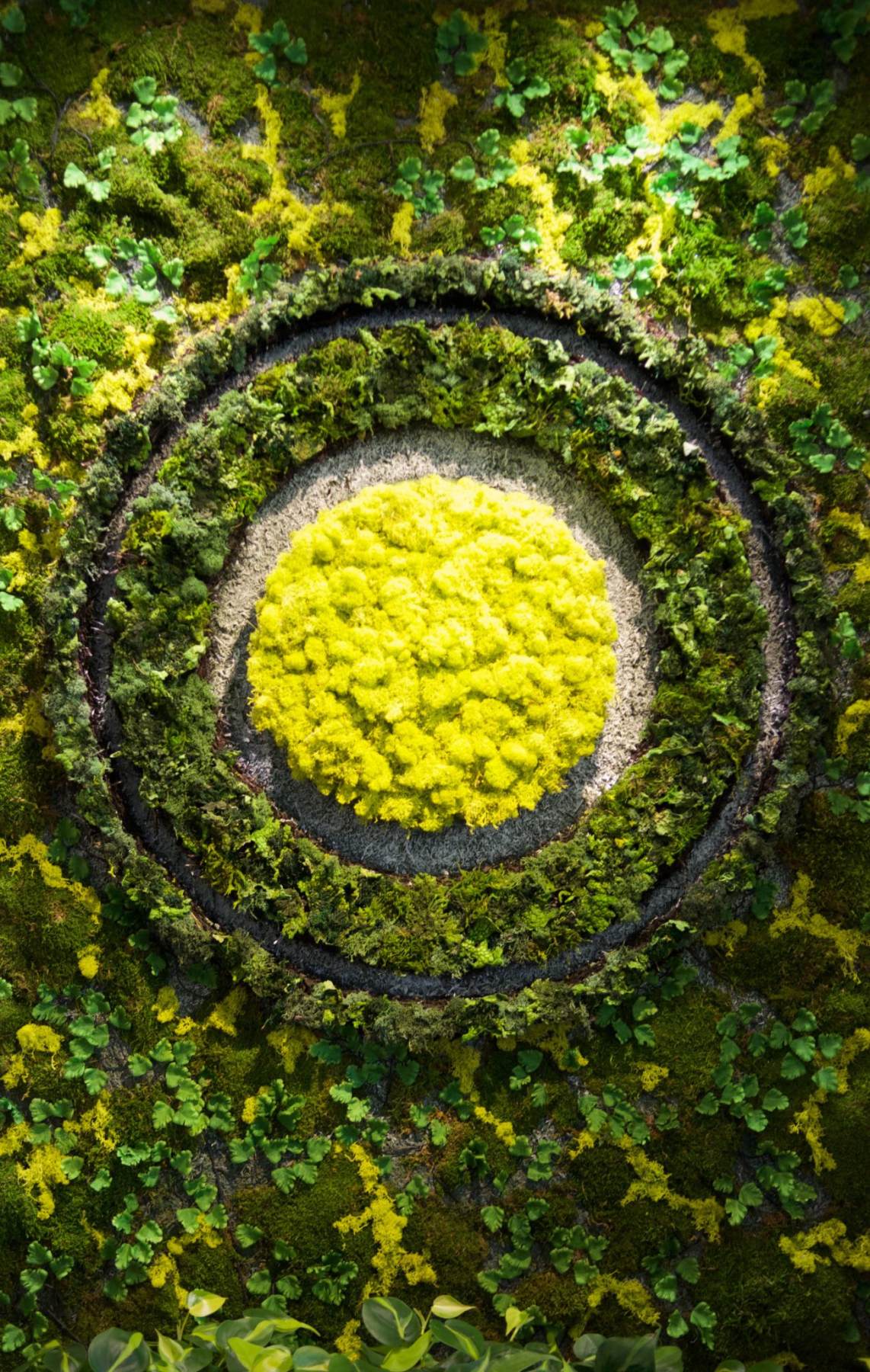 Moss Walls | Phillip's Interior Plants & Displays, Chicago IL