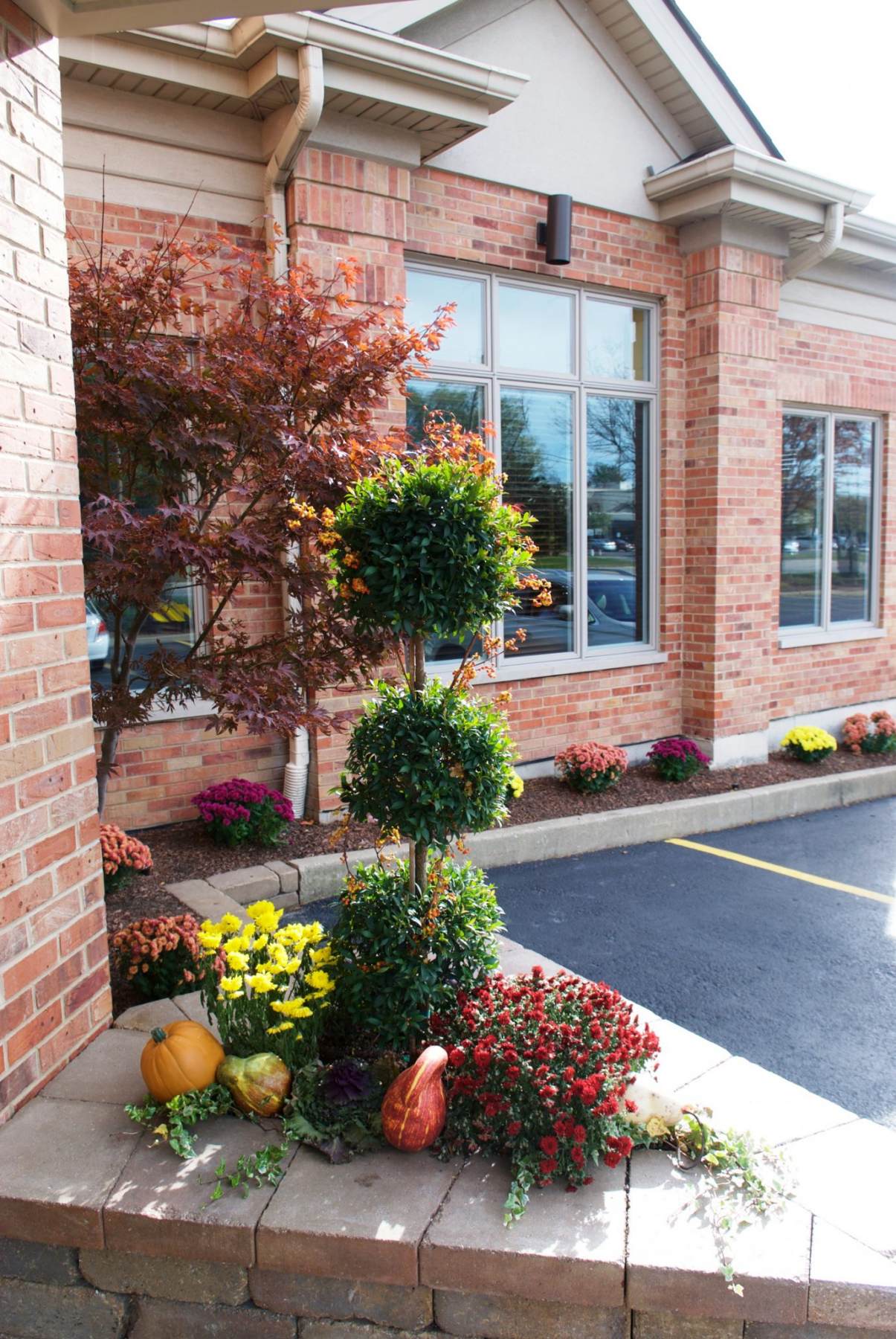 Stunning exterior displays and seasonal container plantings | Phillips ...