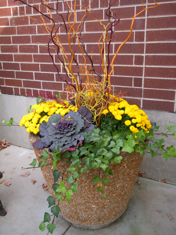 Stunning exterior displays and seasonal container plantings | Phillips ...