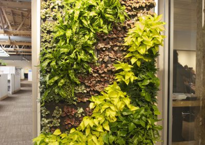 Green Walls - Design, Installation & Maintenance | Chicago & Suburbs