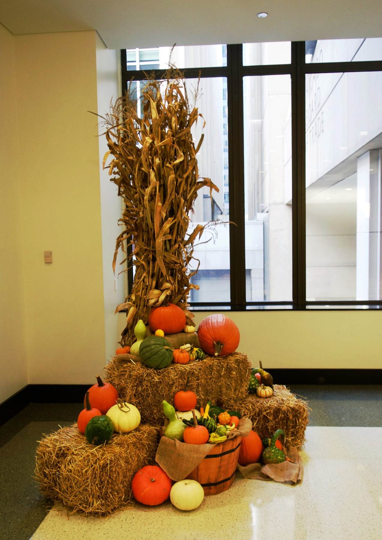 Stunning exterior displays and seasonal container plantings | Phillips ...