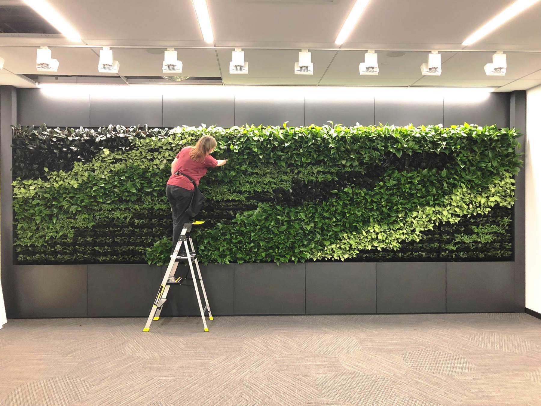Green Walls - Design, Installation & Maintenance | Chicago & Suburbs