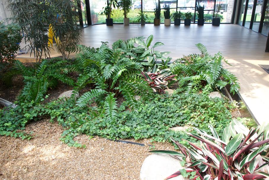 Newly improved atrium brings tranquility to the office! | Phillip's ...