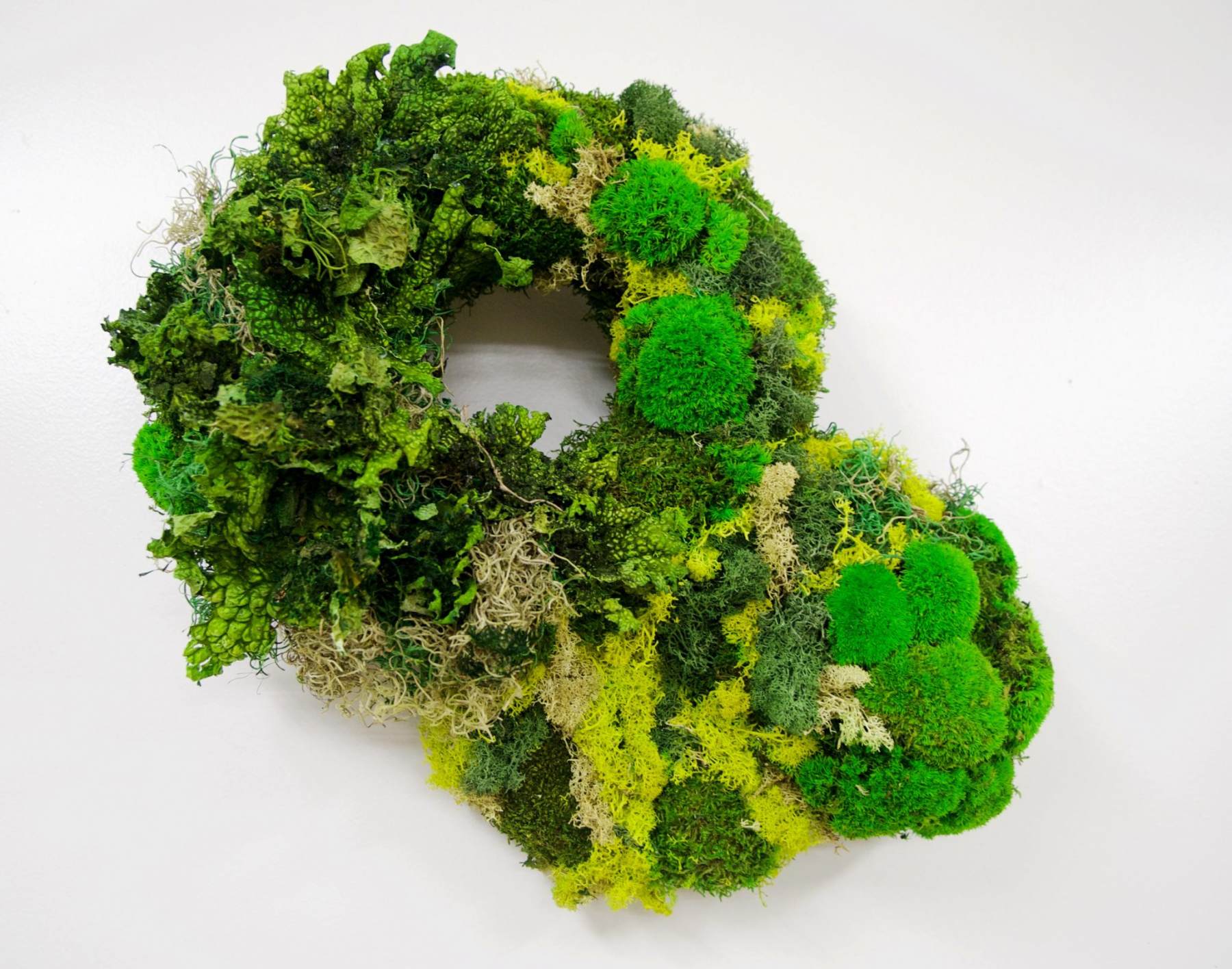 Moss Walls | Phillip's Interior Plants & Displays, Chicago IL