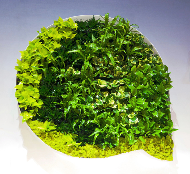 Green Walls - Design, Installation & Maintenance | Chicago & Suburbs