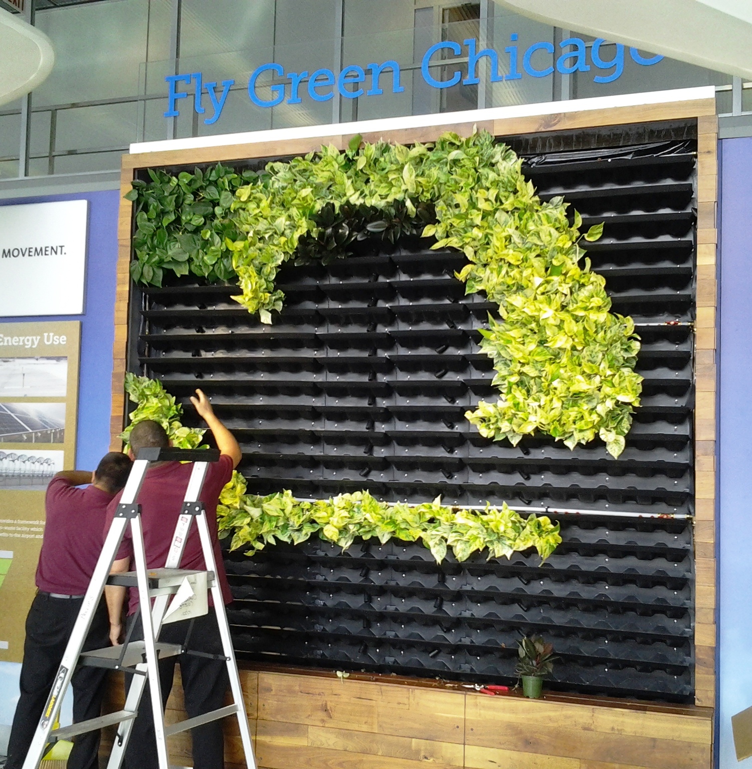 The latest and greatest in Green Walls! | Phillip's Interior Plants ...