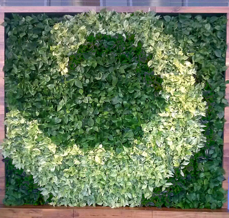 Green Walls - Design, Installation & Maintenance | Chicago & Suburbs