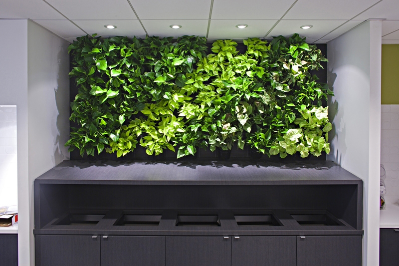 Green Walls - Design, Installation & Maintenance | Chicago & Suburbs