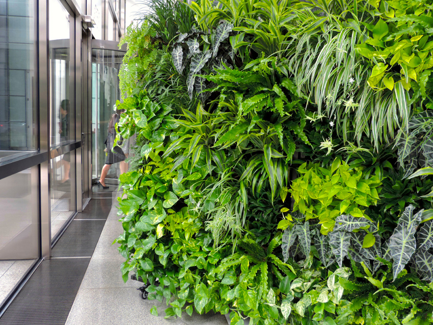 Gallery of our work | Phillip's Interior Plants, Chicago IL