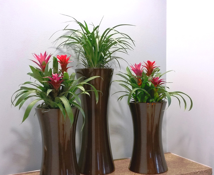 Interior Blooming Plants & Floral Designs for Chicago Area Businesses