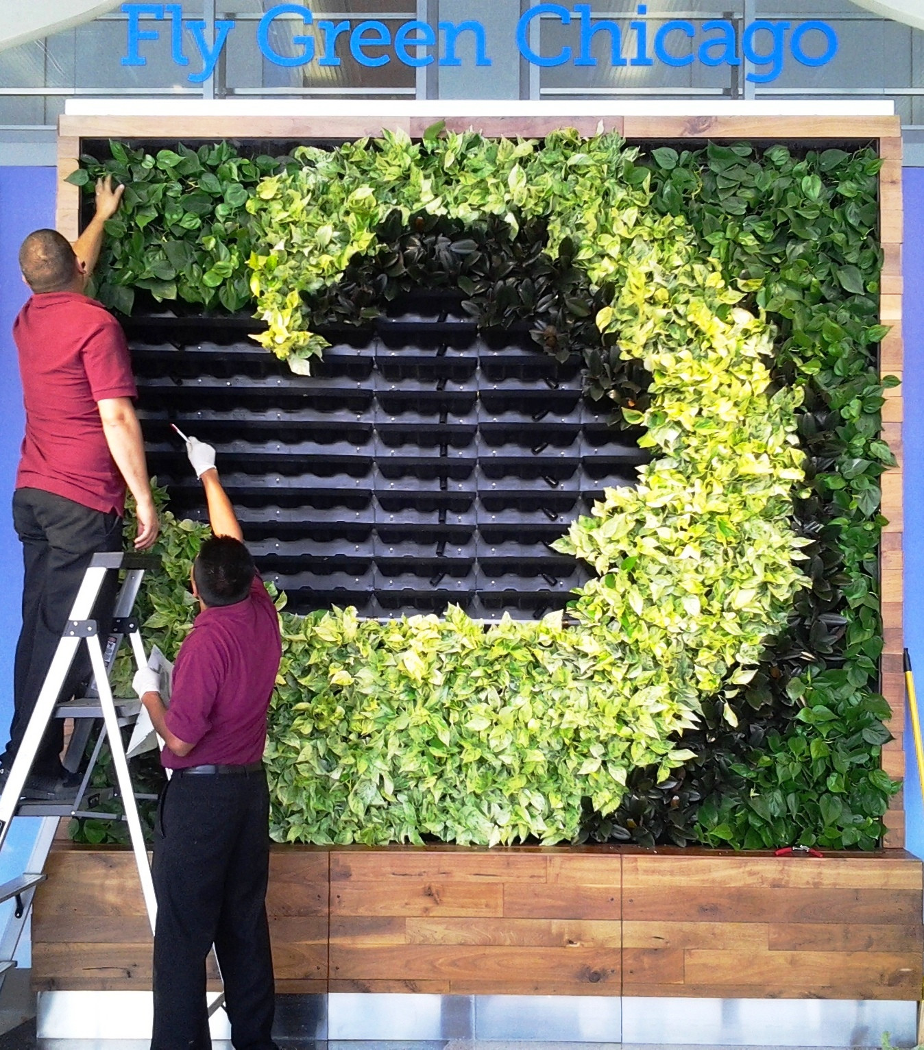 The latest and greatest in Green Walls! | Phillip's Interior Plants ...