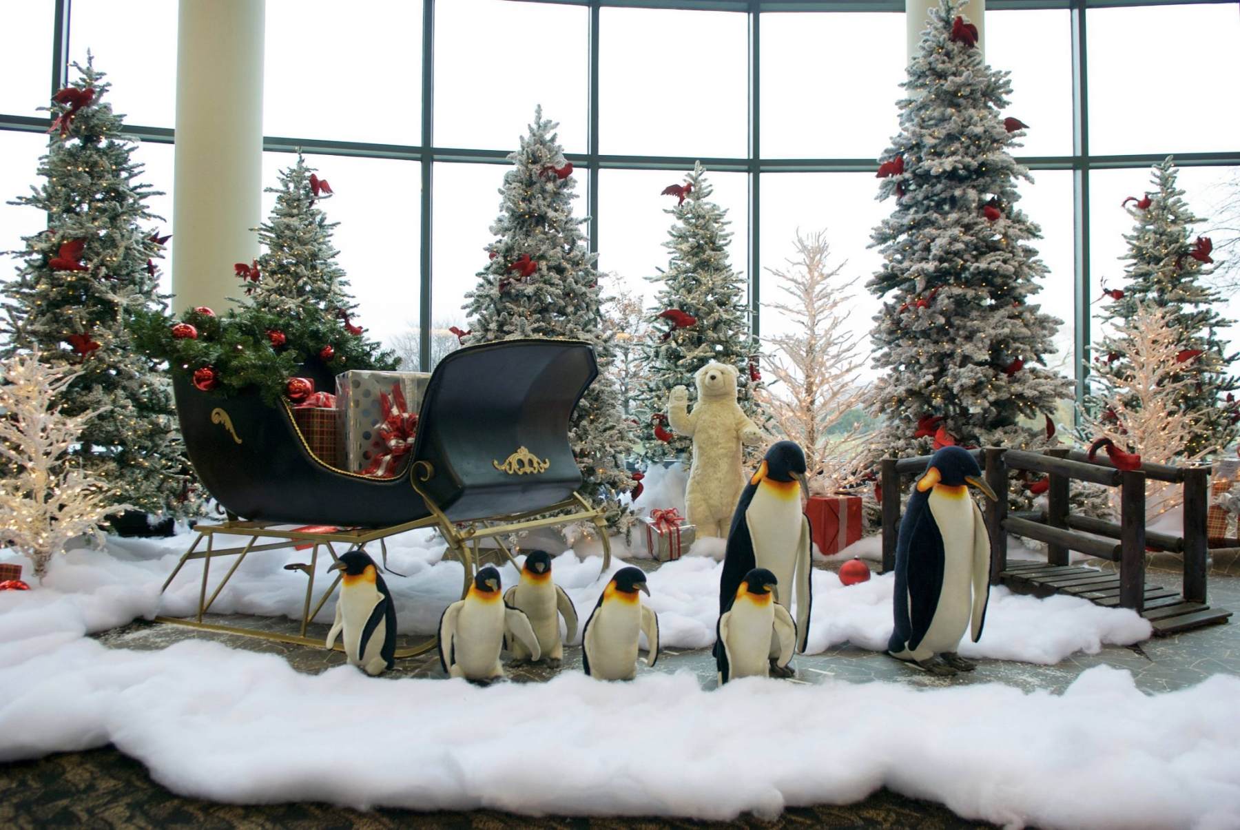 Phillip's Holiday Display Photos! | Phillip's Interior Plants & Displays