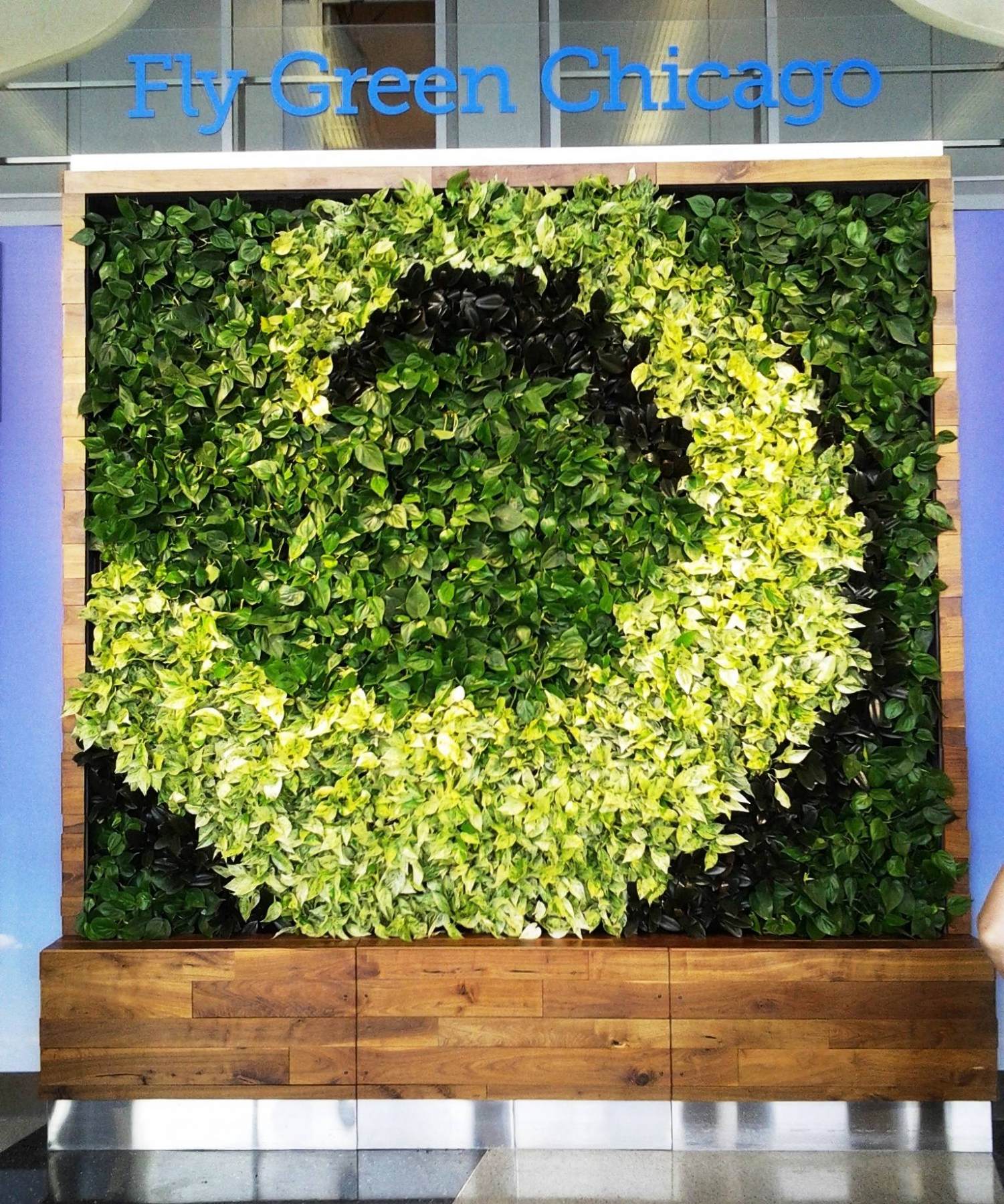 The latest and greatest in Green Walls! | Phillip's Interior Plants ...