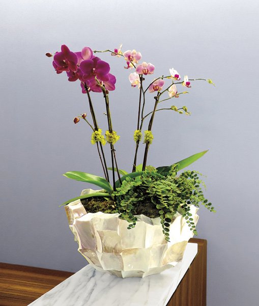 Interior Blooming Plants & Floral Designs for Chicago Area Businesses