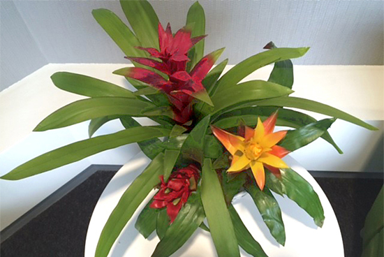 Silk Office Plants and Silk Flowers for Businesses | Chicago & Suburbs