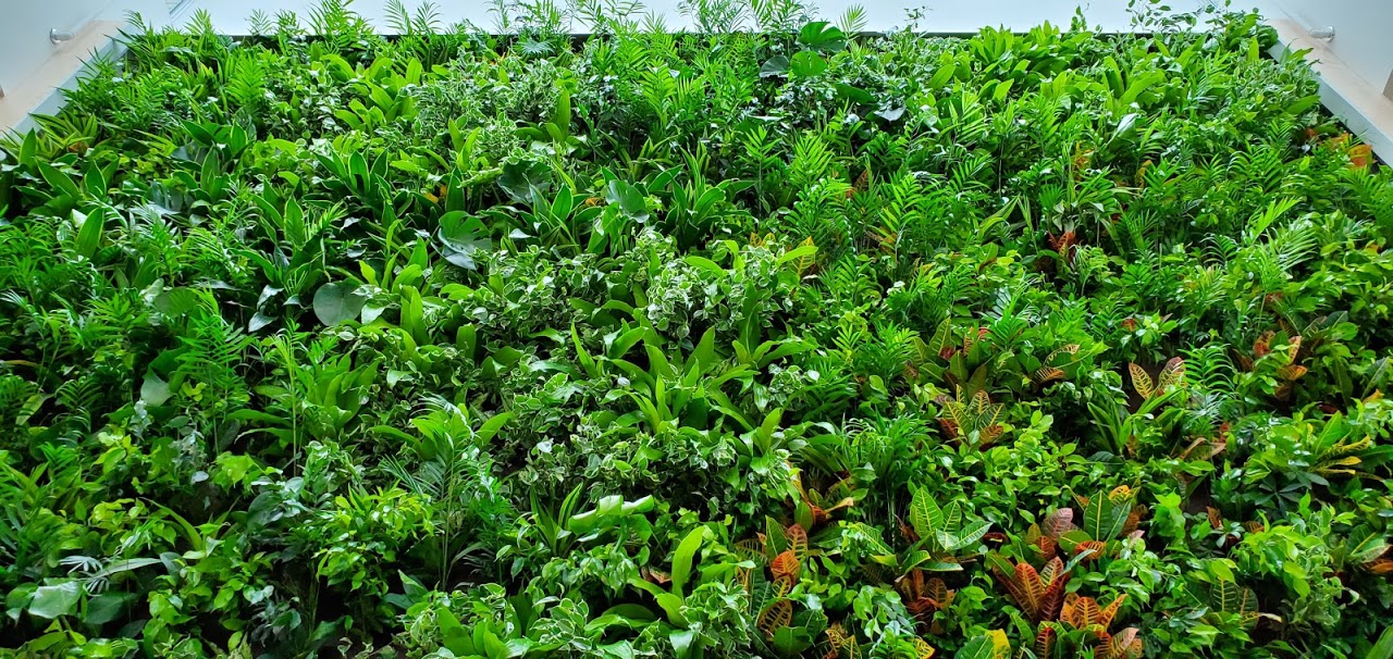 Green Walls - Design, Installation & Maintenance | Chicago & Suburbs