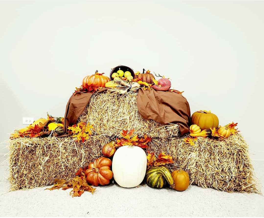 Fall Decor for the Home or Office | Phillip's Interior Plants & Displays