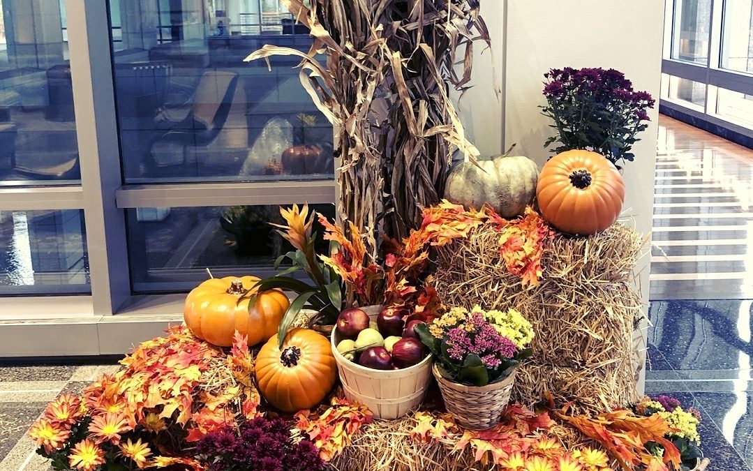 Fall Decor for the Home or Office | Phillip's Interior Plants & Displays
