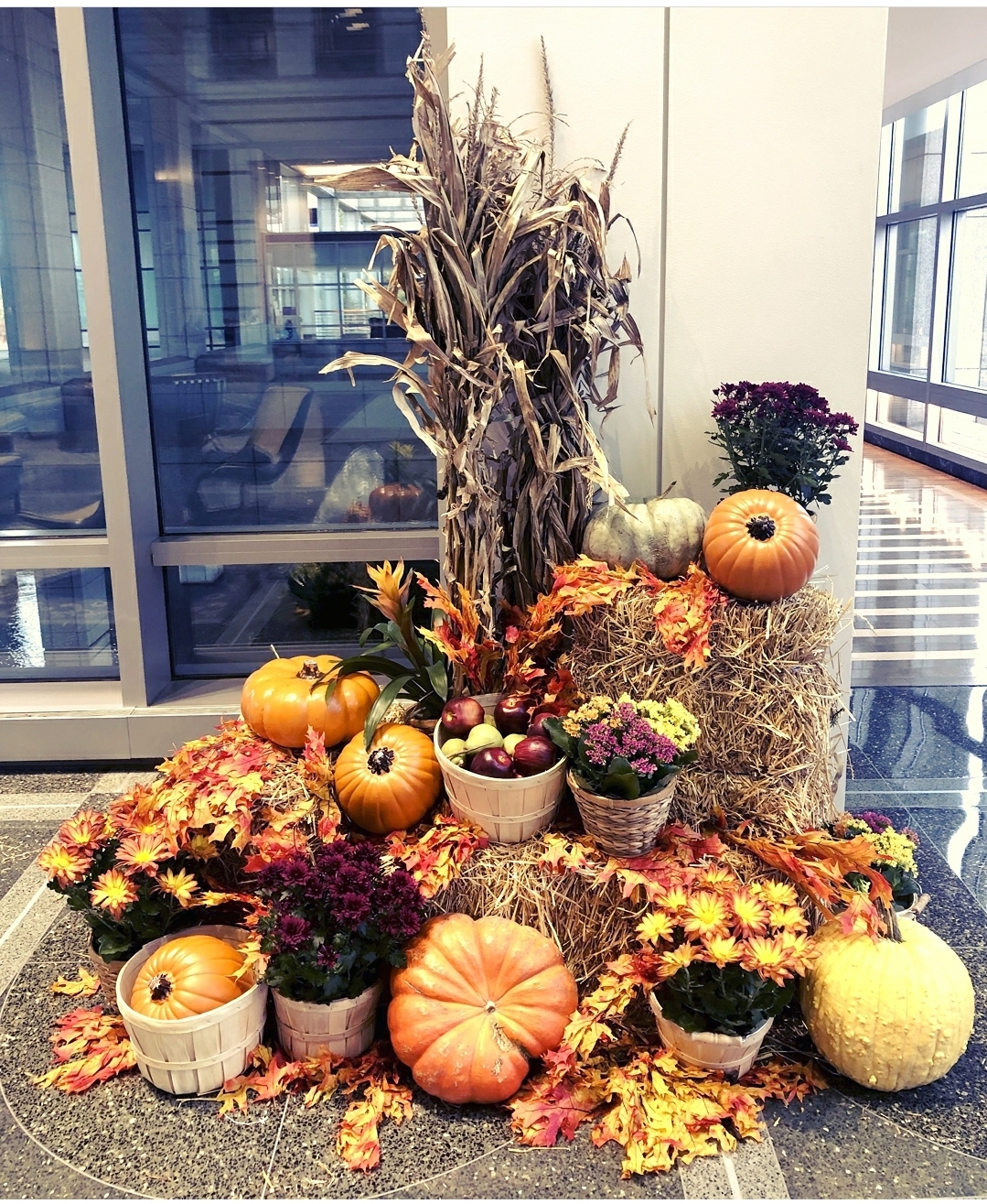 Fall Decor for the Home or Office | Phillip's Interior Plants & Displays