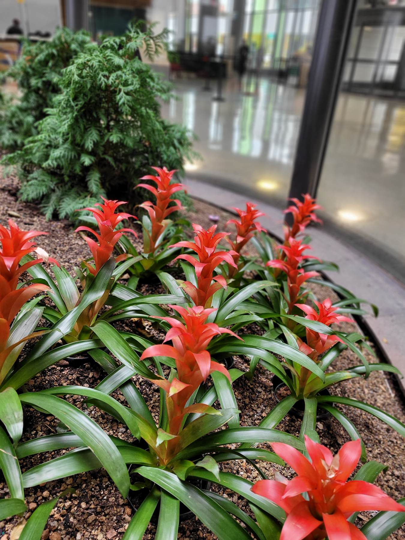 Award-Winning Redesign of Three-Story Terrarium | Phillip's Interior ...