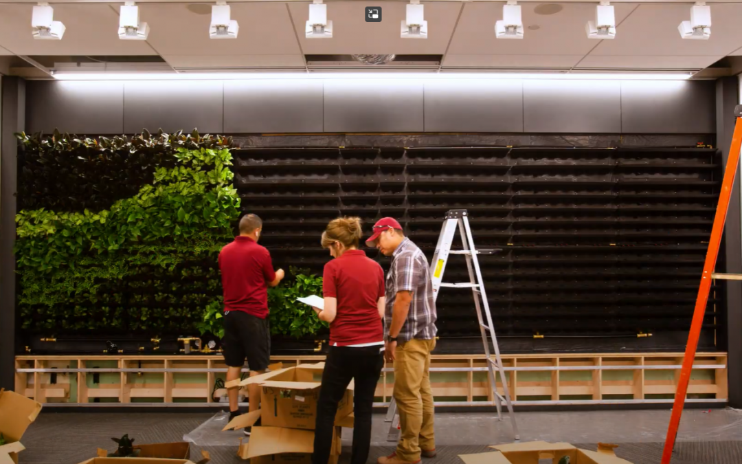 Watch us Create a 22 Foot Living Wall | Phillip's Interior Plants ...