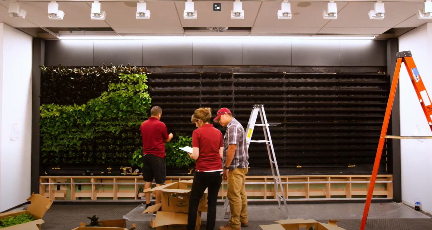 Watch us Create a 22 Foot Living Wall | Phillip's Interior Plants ...