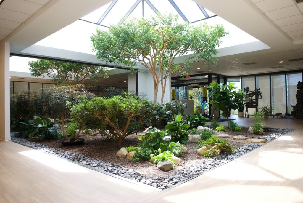 We Know How to Make an Entrance | Phillip's Interior Plants & Displays
